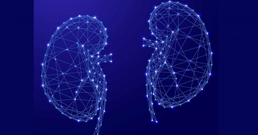 AI Diagnostic Tools - The Future of Predicting Kidney Disease