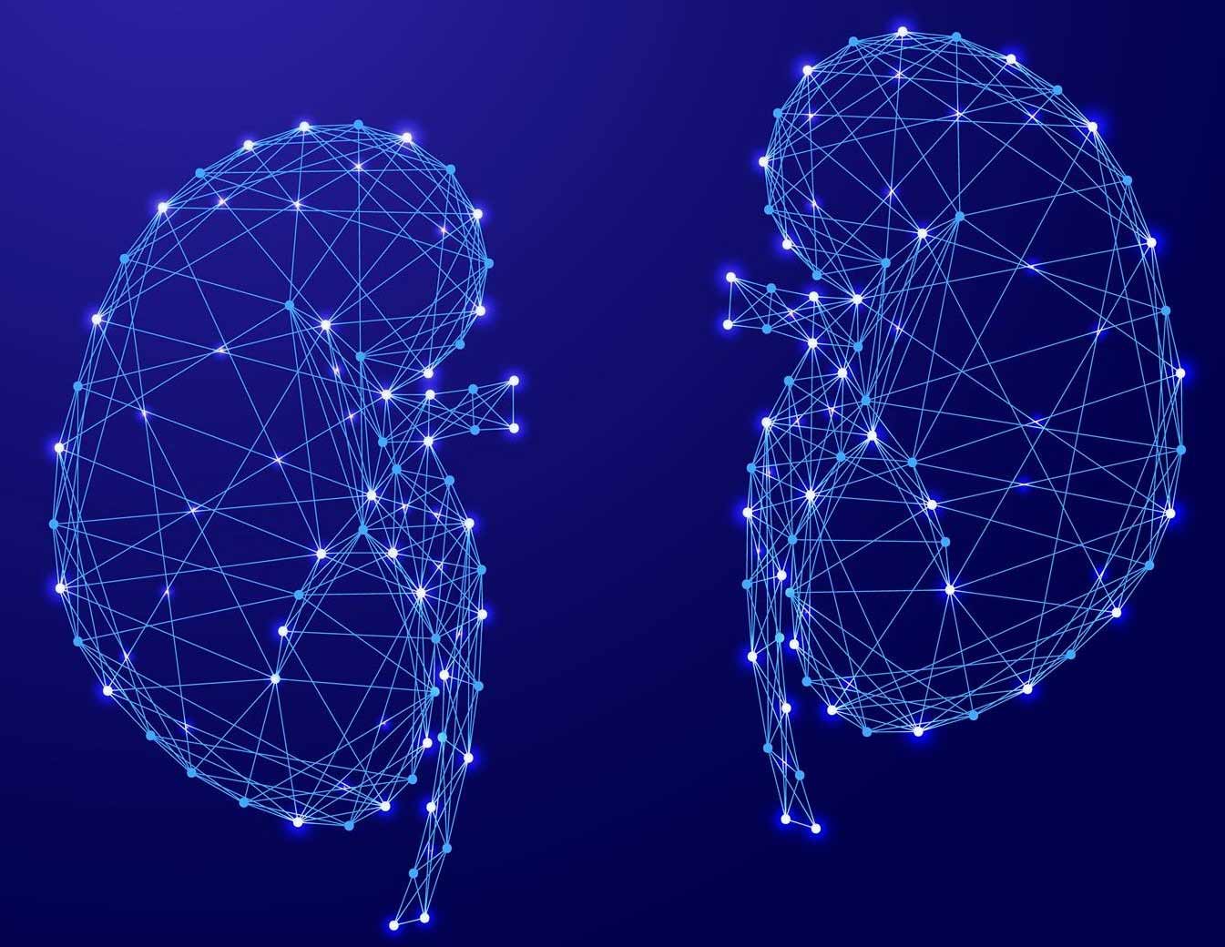 AI Diagnostic Tools - The Future of Predicting Kidney Disease