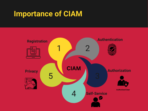 What is CIAM? The Ultimate Guide to Secure Your Digital Channels - Rediminds